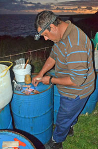 Tristan da Cunha Ratting Day: Ratting Days 2013 and 2014
