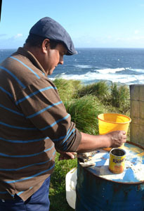 Tristan da Cunha Ratting Day: Ratting Days 2013 and 2014