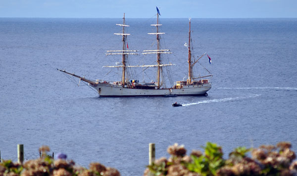 Recent Cruise Ship Visits to Tristan da Cunha: Bark Europa's March 2019 ...