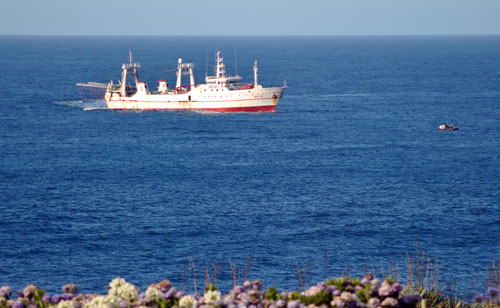 Tristan da Cunha Fishing News: Argos Vigo completes seamount fishing ...