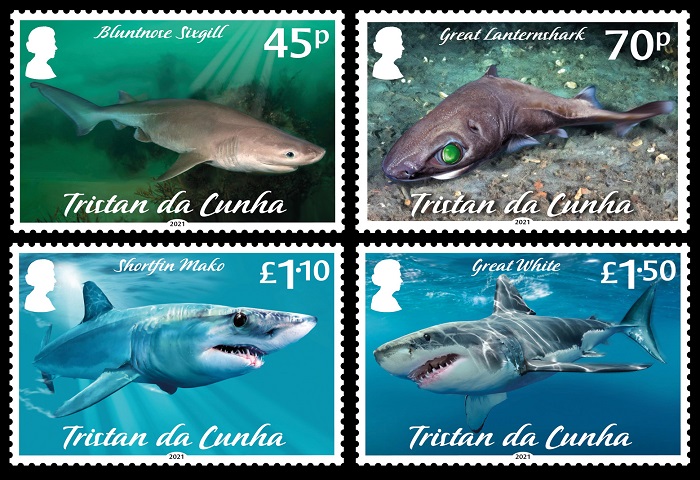 Tristan da Cunha Stamps: Sharks: Part 2